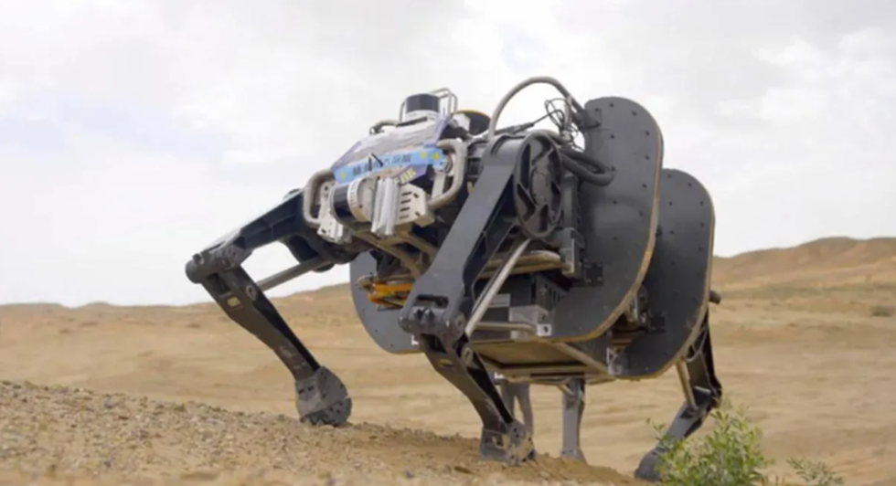 ROBOT DE TRANSPORTE | Iguana Robot