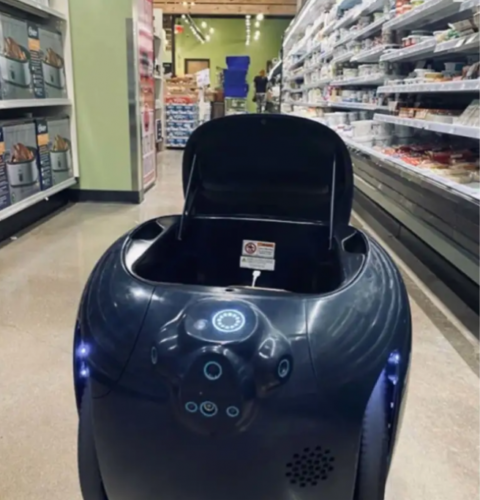 Así es Gita: el asistente robótico que te persigue mientras carga tus ...